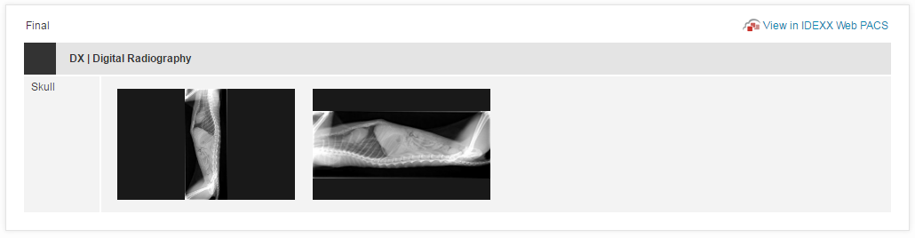 Connect IDEXX Web PACS – IDEXX Neo